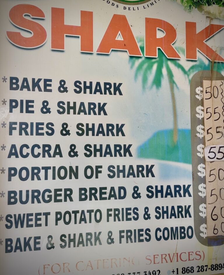 Trinidad Fried Bake and Shark: The Best Fish Sandwich in the World