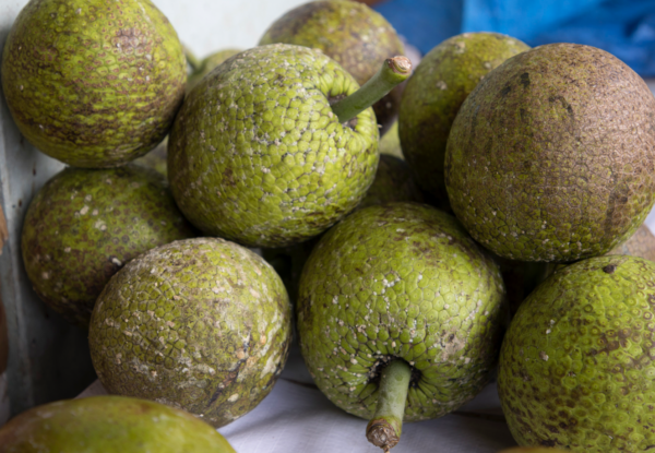 What Are Ground Provisions? A Complete Guide and How to Cook Them